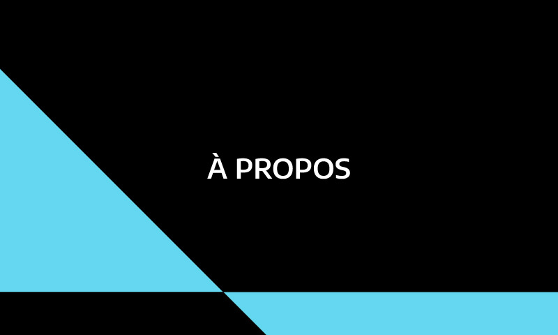 A propos - Amossys